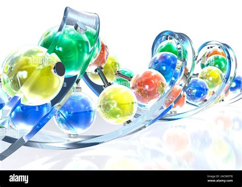 Dna Molecule Computer Artwork Showing A Double Stranded Dna Deoxyribonucleic Acid Molecule