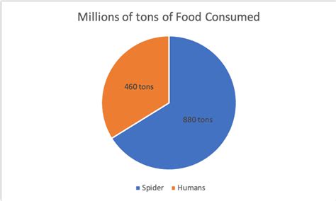 What Do Spiders Eat The Complete Guide School Of Bugs