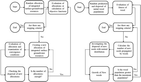 Right Side Overview Of Iwo Algorithm Left Side Implementation Download Scientific Diagram