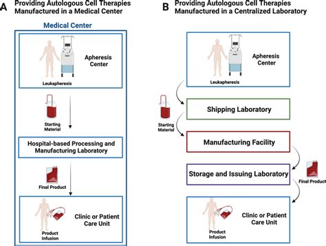 Clinical Application Of Cell Therapies Some Medical Centers