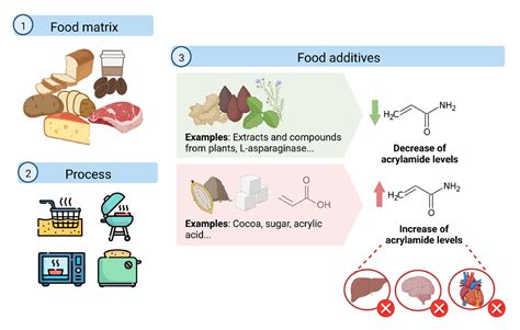 The Role Of Additives On Acrylamide Formation In Food Products A