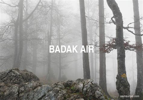 2 Arti Kata Badak Air Kamus Besar Bahasa Indonesia Kbbi