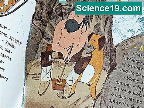 Jak interpretować dane XRF Naukowe I Popularne Portal Multimedialny