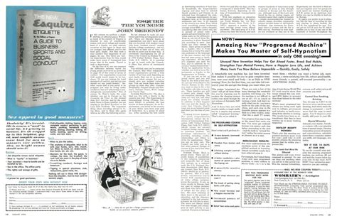 Hey Al What Do We Get For A Large Economy Size Bottle Of Sex