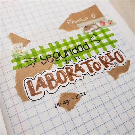Carátulas De Laboratorio