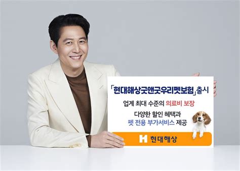 현장체크 현대해상 Db손보 Kb손보 한화손보 뉴스포트
