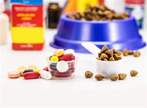 Consejos Para Elegir El Alimento Ideal Para Tu Mascota Pet Balance