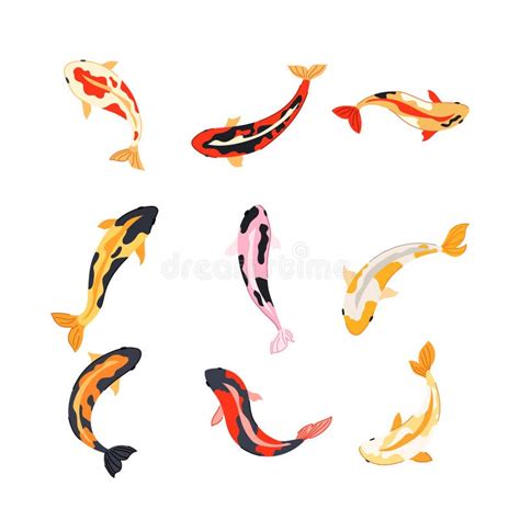 Koi Fish Carp Set Cartoon Vector Illustration Stock Illustration