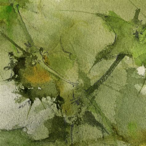 20230804 Common Sowthistle Chng Kiah Kiean