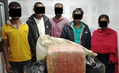२० किलो अबैध लागु औषध गाँजा सहित पाँच पक्राउ