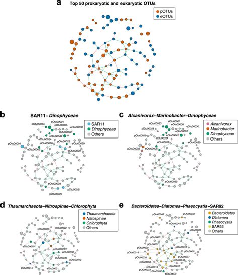 microbial ecological networks for the top 50 prokaryotic and eukaryotic