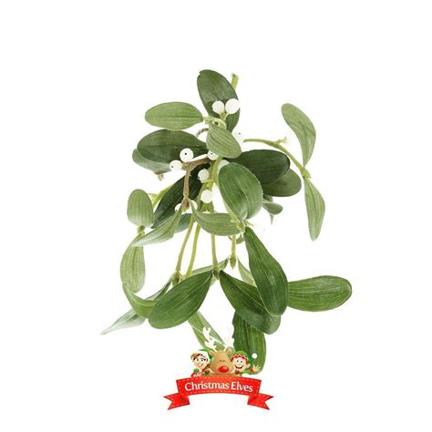 Kiss Under The Mistletoe Christmas Romance