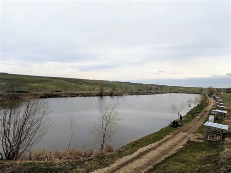 Balta Cornesti Timisoara