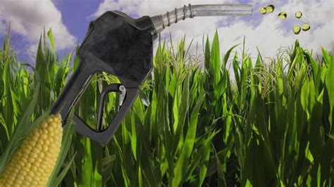 Biocombustibles Alternativa Verde Contra Inseguridad Alimentaria