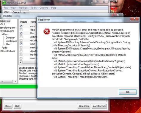 Megui Encountered A Fatal Error