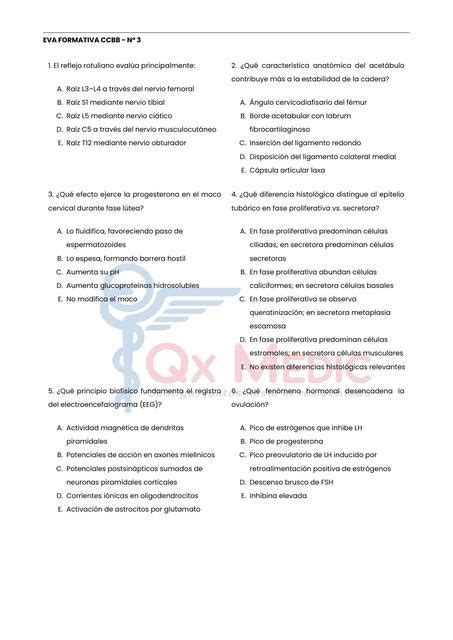 Eva Formativa Ccbb N 3 Sandra G Udocz