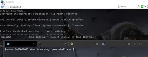 error 0xd0000022 when launching any shell ps cmd git bash ps7