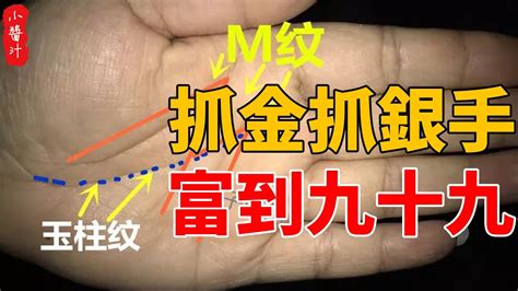 掌中有六種紋，抓金抓銀手，富到九十九生活小醬汁風水相學 Youtube