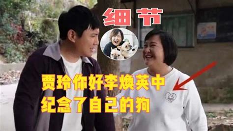 深扒细节！贾玲《你好李焕英》中纪念了自己的狗娱乐明星动态好看视频