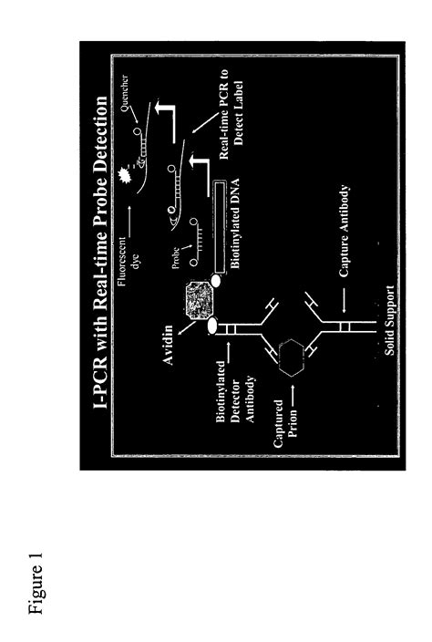 Nucleic Acid Amplification Technique Patented Technology Retrieval