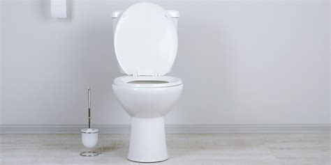 Toilet Needs A New Home Huffpost