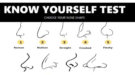 Top 9 Nose Shapes The Shape Of Your Nose Says A Lot About Your