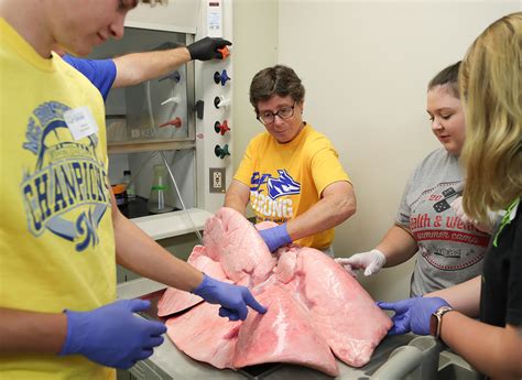 ‘one Of The Best Biology Professor Janet Steele Receives Unks