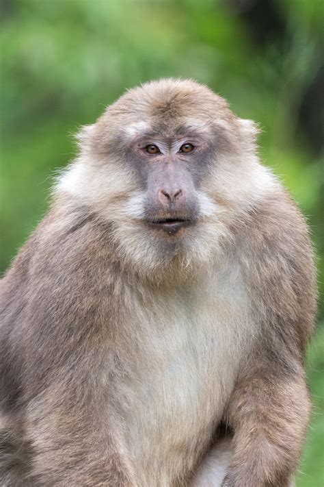 Wild Images Photography Tours China Wildlife Photography Tours