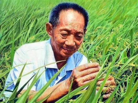 海水稻試種，身價1008億的袁隆平：可多養活8000萬人，人類之福 每日頭條