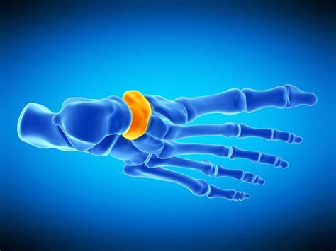 Navicular Acessório Abtpé
