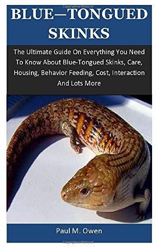 Blue Tongued Skinks The Ultimate Guide On Everything You Need To Know