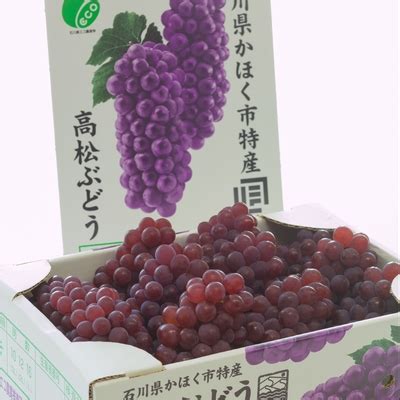 夏の予約受付 道の駅 高松