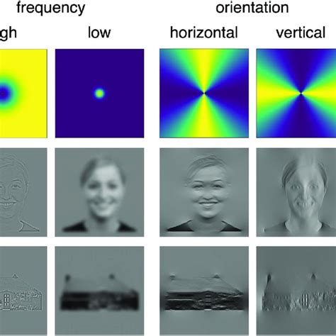 spatial frequency and orientation filters top with an exemplar from