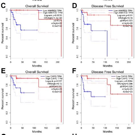 Correlated Significant Genes Of CDH23 And Gene Correlation Expression
