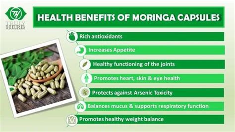 Moringa Oleifera Capsule 60 Capsules At ₹ 75bottle In Jaipur Id