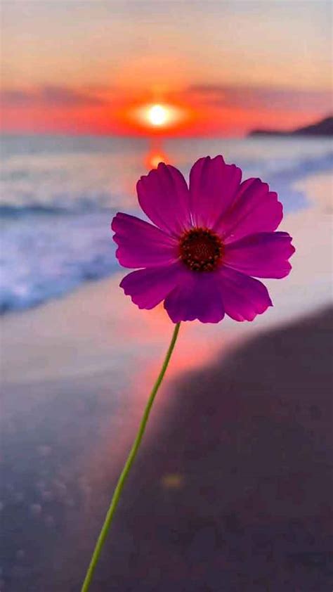 دانلود آهنگ ریدم من توی این وضع از هیدن کامل