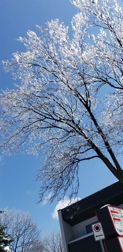 Mustafa Alazzawi Home Facebook