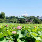 kintoneのAPI連携で業務効率化設定方法と活用事例もあわせて解説 クラウド型RPAAUTOROオートロ AUTORO