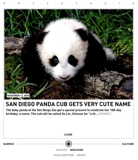 Phylotaxis On Behance