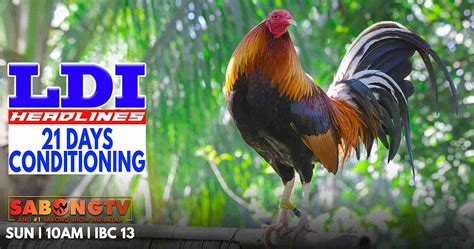 21 Days Conditioning Program Sa Ldi Headlines Sabongtv