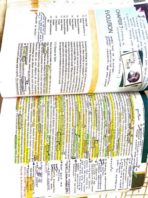 Evolution Ncert Pdf Pdf