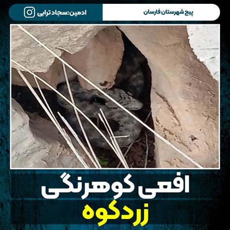 Farsancity ‎صدایمردم مطابق با اصل ۳۰ قانون اساسی دولت موظف است وسایل آموزش و پرورش رایگان را