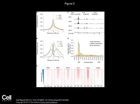 Placing The Hira Histone Chaperone Complex In The Chromatin Landscape