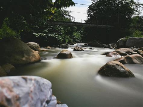 Premium Photo Surface Level Of Stream