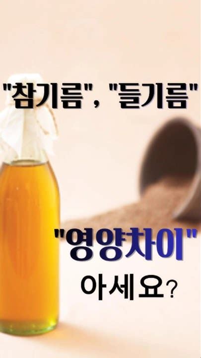 참기름과 들기름 영양 차이 아세요 Youtube