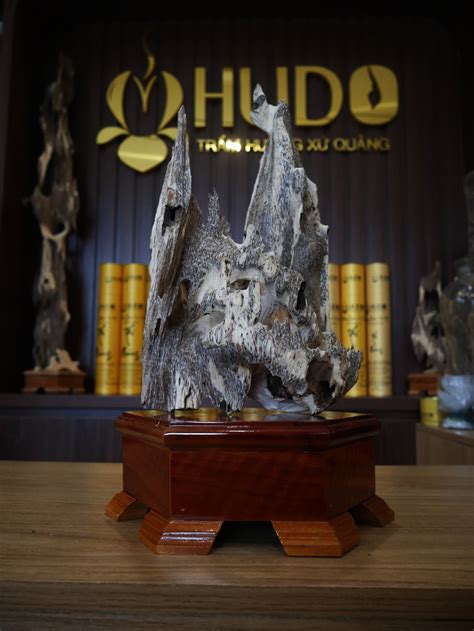 TrẦm CẢnh DÒng KiẾn RỪng TỰ NhiÊn MÃ 397 XƯỞng TrẦm HƯƠng QuẢng Nam Hudo Top ĐỊa ChỈ SẢn