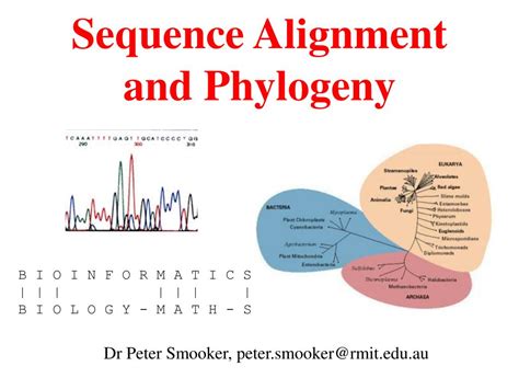 PPT Sequence Alignment And Phylogeny PowerPoint Presentation Free Download ID