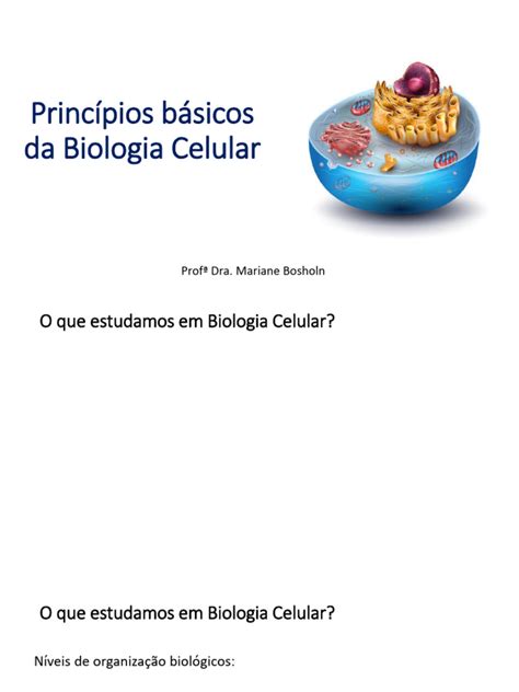 Aula 1 Composição Celulas Procariontes E Eucariontes Pdf Carboidratos Ácidos Nucleicos