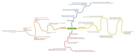 Sistema Ladme Coggle Diagram