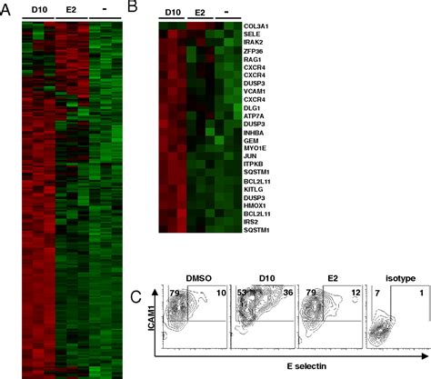 Diversity Through Phosphine Catalysis Identifies Octahydro 16
